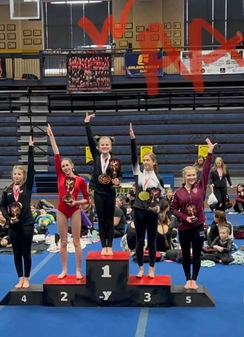 Sugar Grove 13-year-old gymnast is state champ | News, Sports, Jobs ...